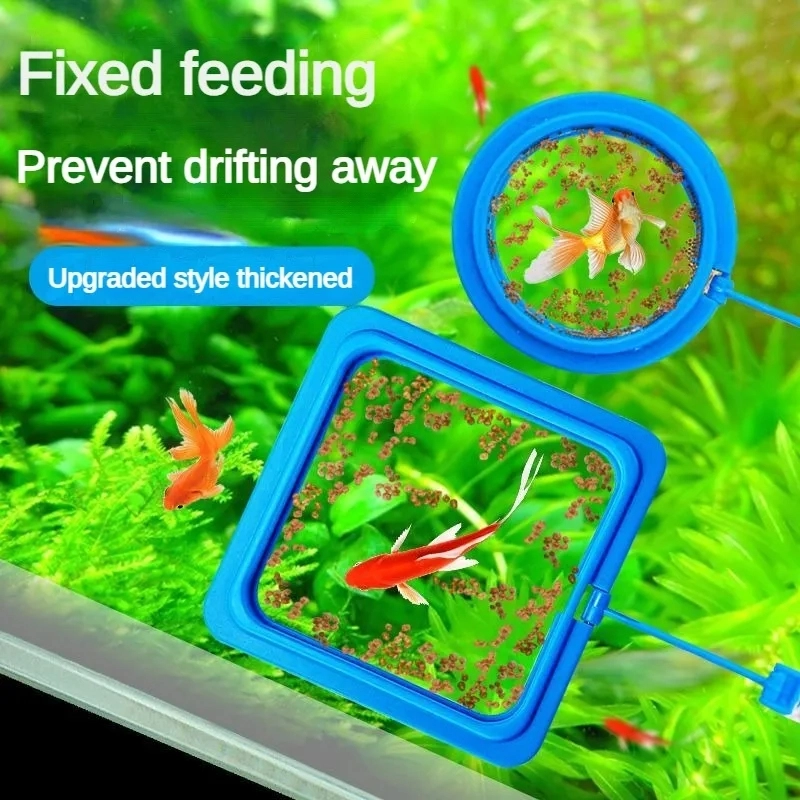 Aquarium Feeding Ring Fish Tank Floating Food Tray Feeder Square Circle ...