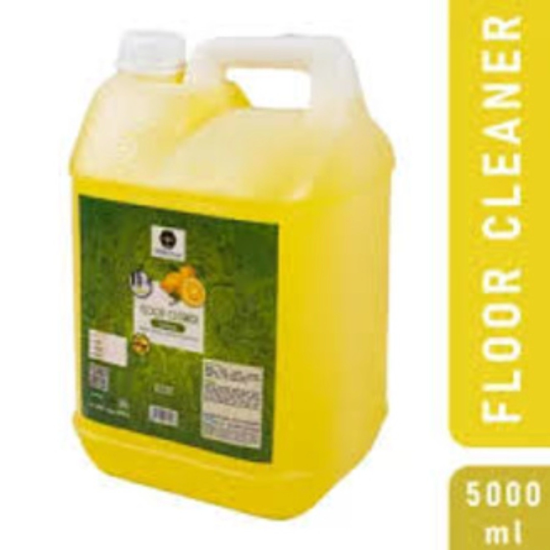 Germnil Floor Cleaning Agent & Disinfectant 5 Ltr