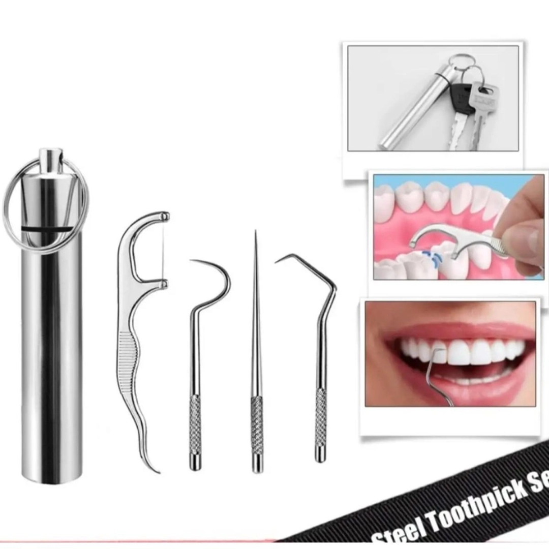 04 Pcs Stainless Steel Toothpick Set with Keychain Reusable Toothpicks ...