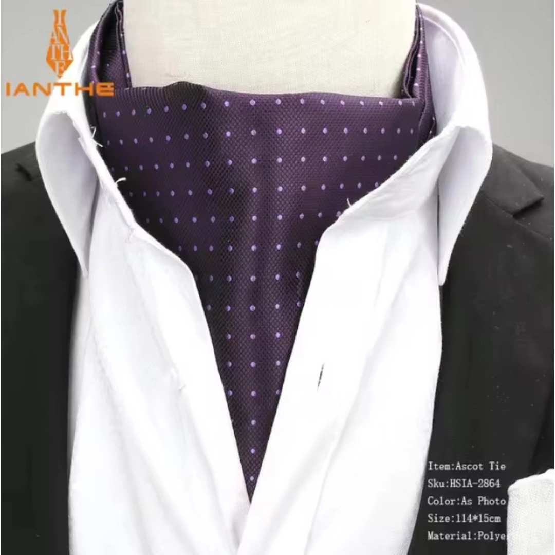 Men's Neckties Vintage Paisley Wedding Formal Cravat Silk Ascot Ties ...