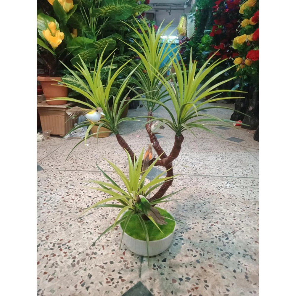 Bonsai Plant With Matir Tob-1
