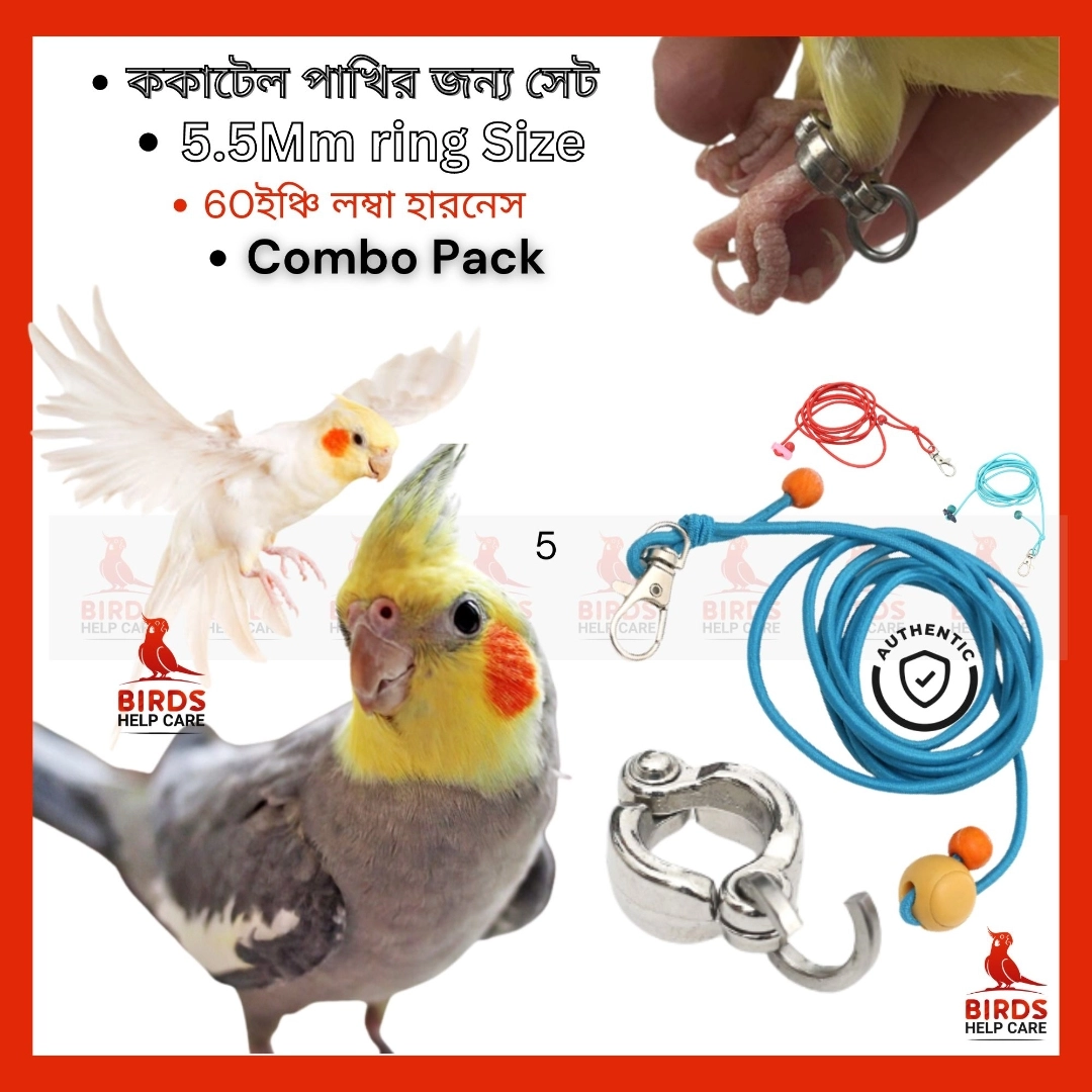 60 inch Elastic harness with anklet 5.5 mm for Cockatiel Birds(full set combo pack) 1PCS