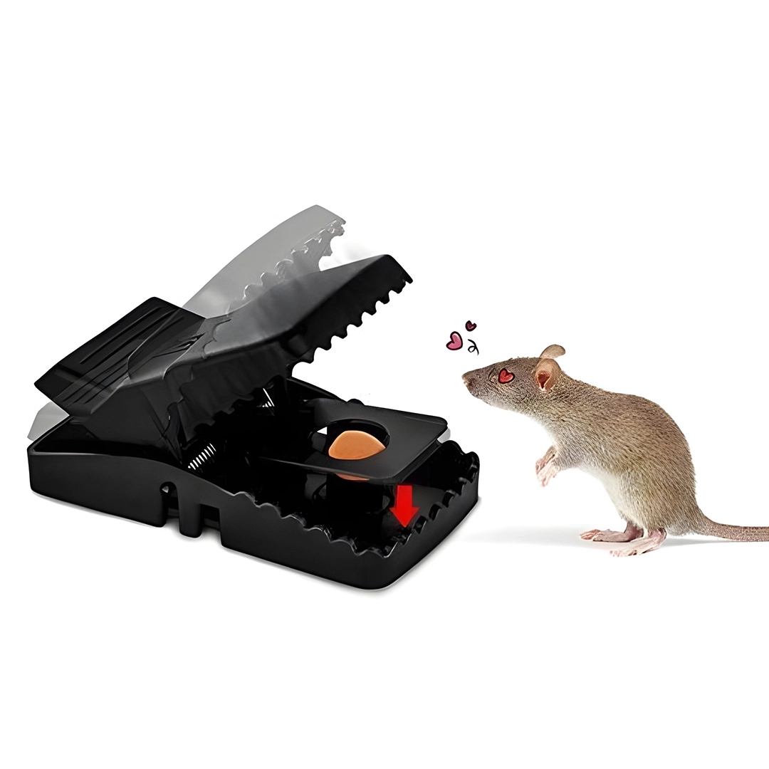 Rat Catcher Mouse Trap Home Mouse trap Killer Mouse Black Reusable ...