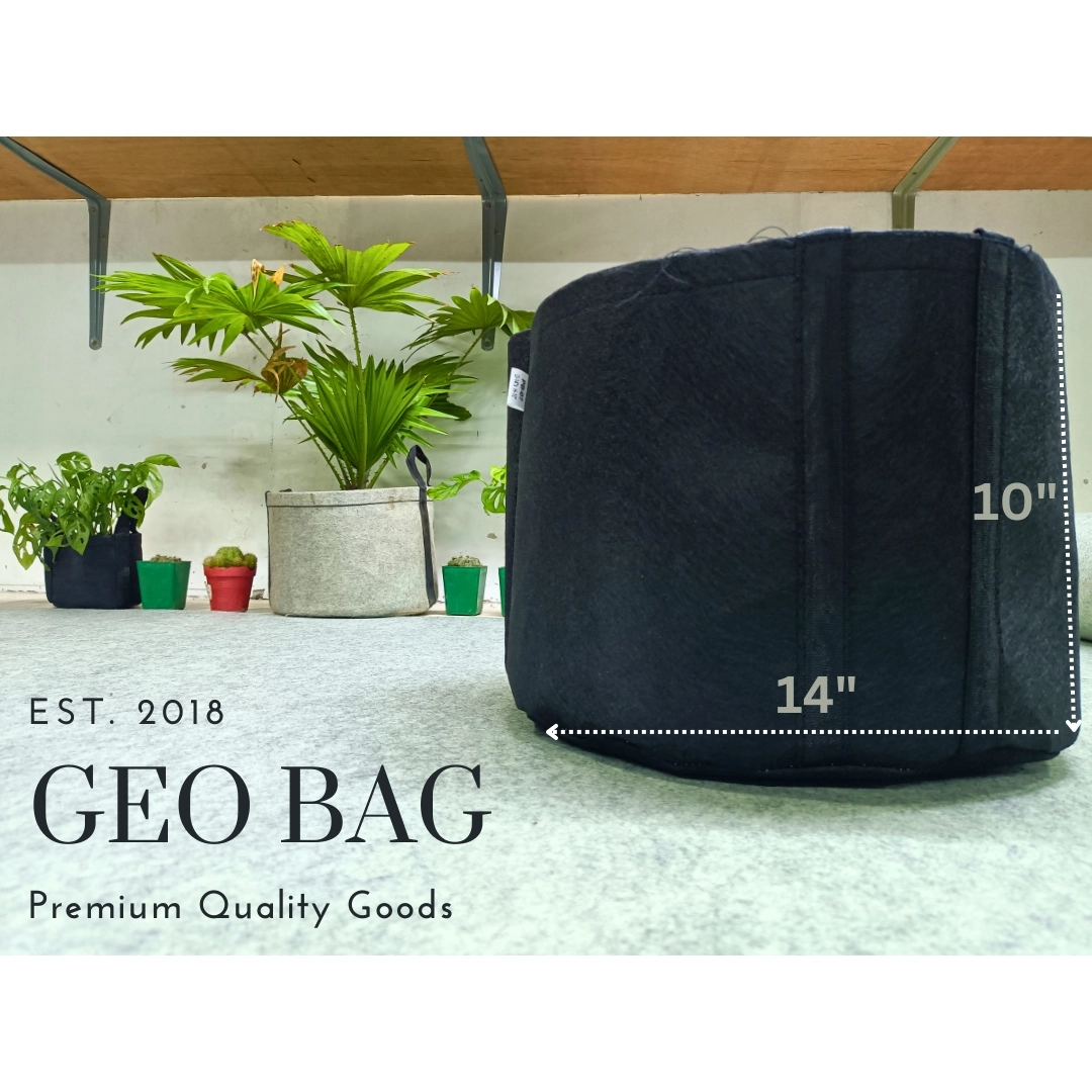 Special Combo Odder -05 Peace Geo Bag 07 Gallon Capacity (Dia 14" Hight ...