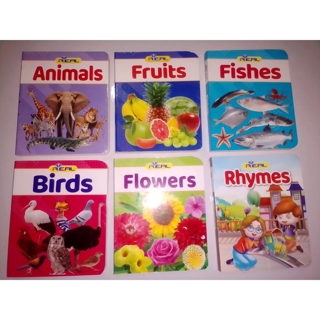 Real Gan Box-6 pcs Book Set- Children primary education & brain ...