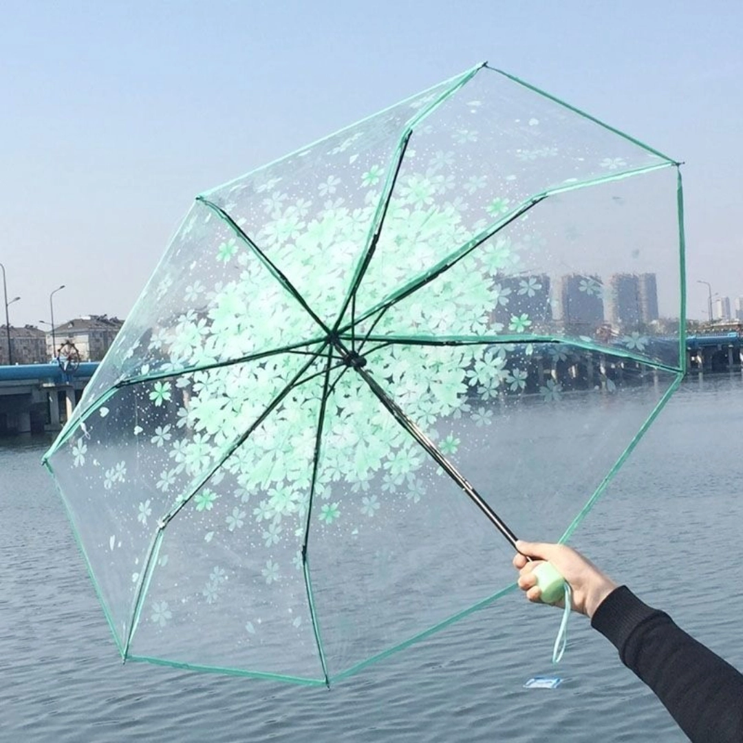 Foldable Umbrella with Color Variants Buy All