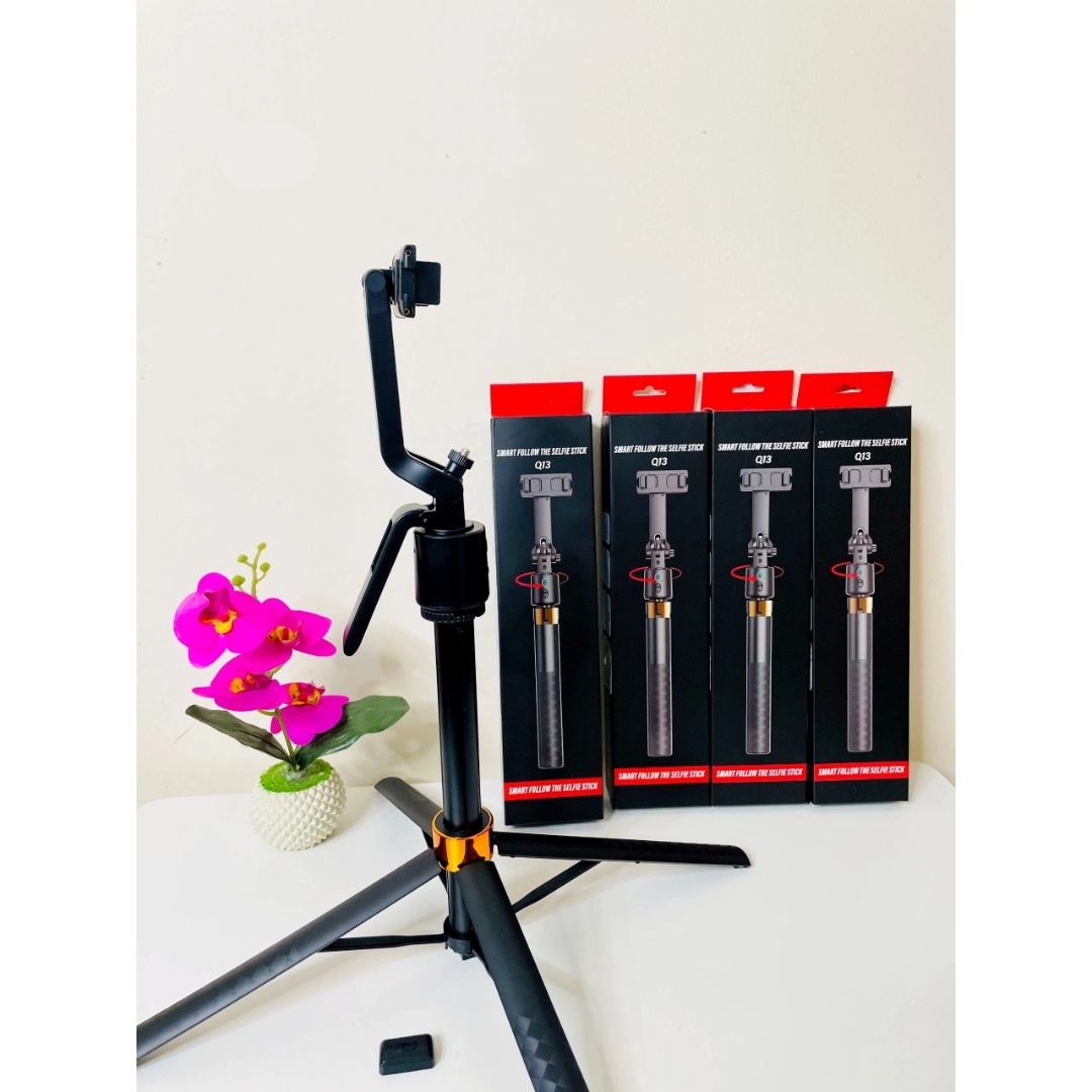 Q13 Selfie Stick Tripod with Wireless Remote Control Smart Auto AI ...