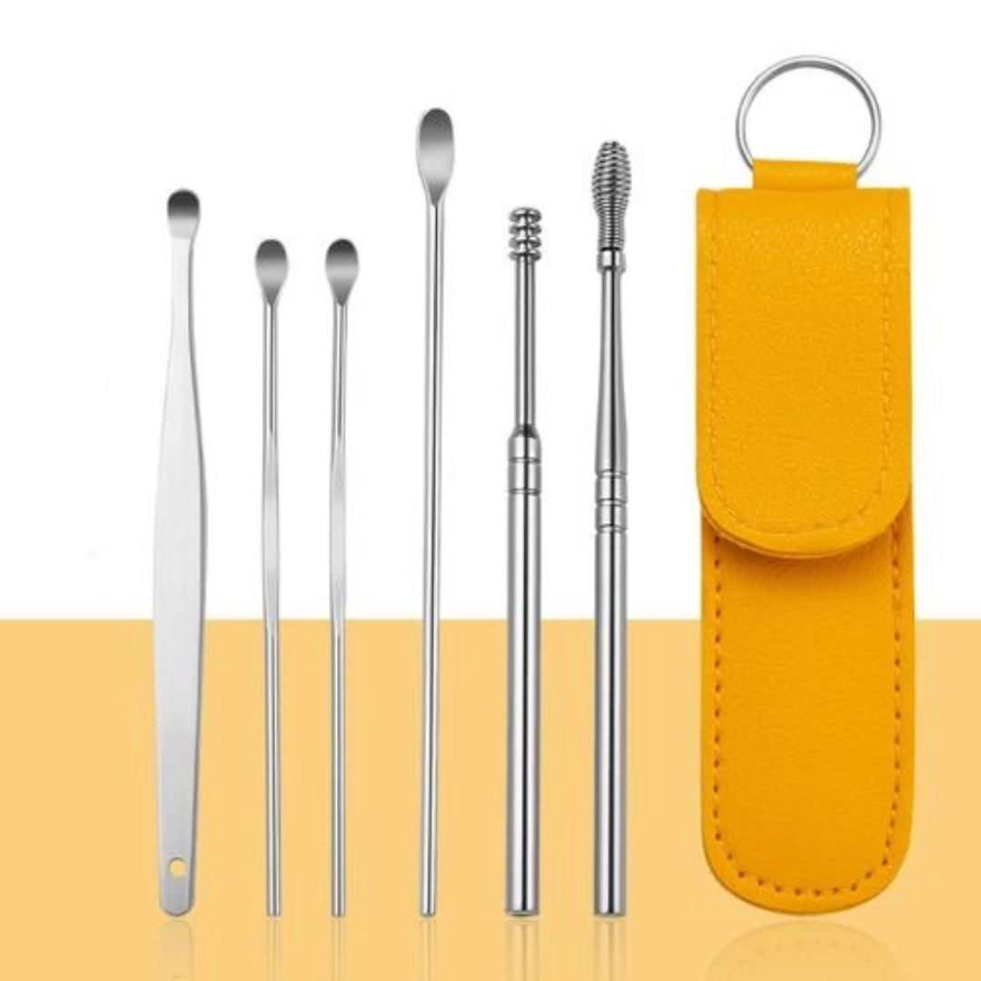 Ear Pick Set Portable Ear Cleaner Set Stainless Steel With Leather Case ...