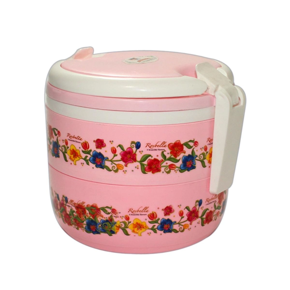 Double Layer Plastic Lunch Box - Multicolor