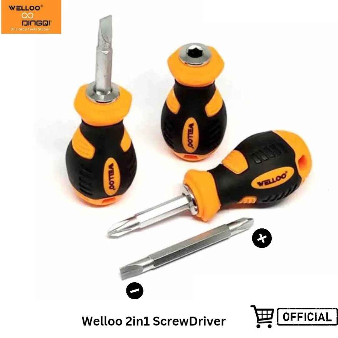 Welloo 2 In 1 Multipurpose Mini Slotted Screwdriver Set - Cr-V Phillips ...