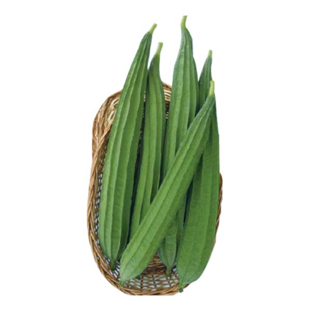 Hybrid Sponge Gourd Jhinga Seeds - 20 pcs