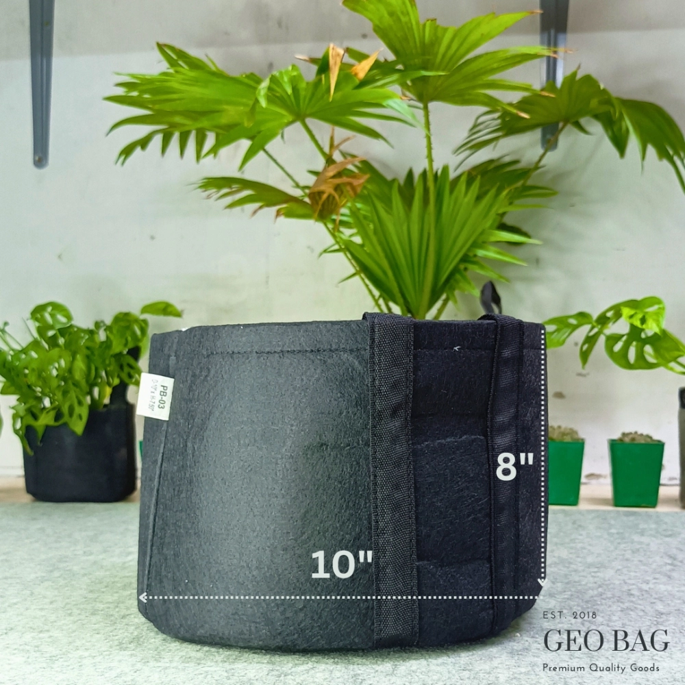 Special Combo odder -05 peace Geo Bag 03 Gallon Capacity (Dia 10" Hight ...