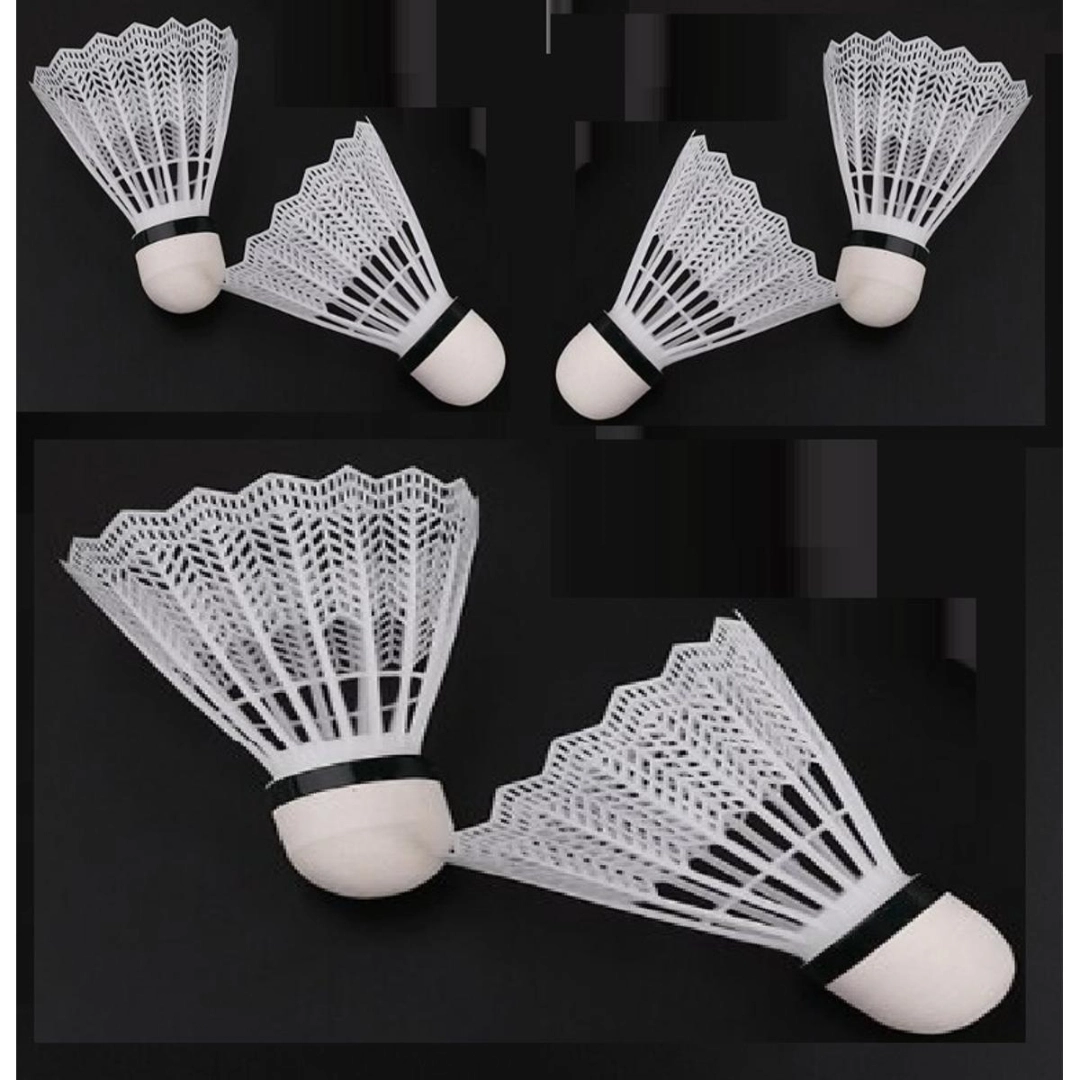 Golden Wing Superior Grade Badminton Nylon Shuttle Cock Racket Feathers ...