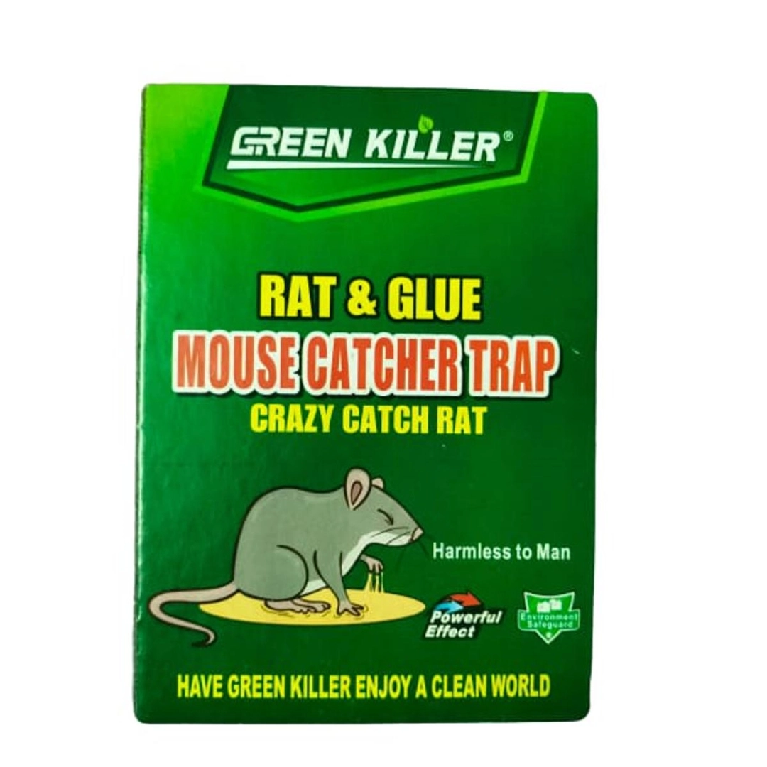 Mouse and Rat Glue Trap Pit Killer (1 Piece) - 276088061
