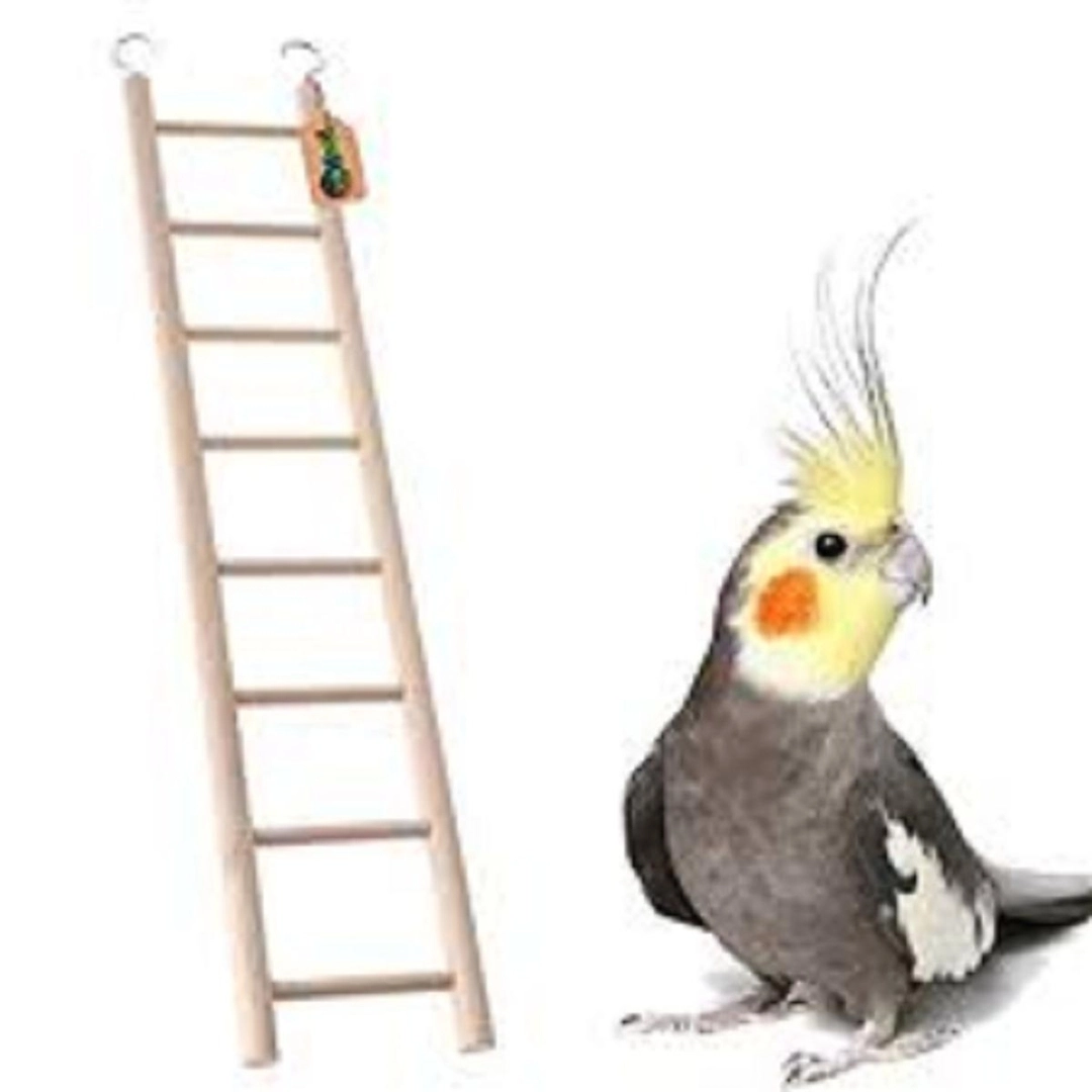Wooden Bird ladder fun cage toy for bird training 1pcs