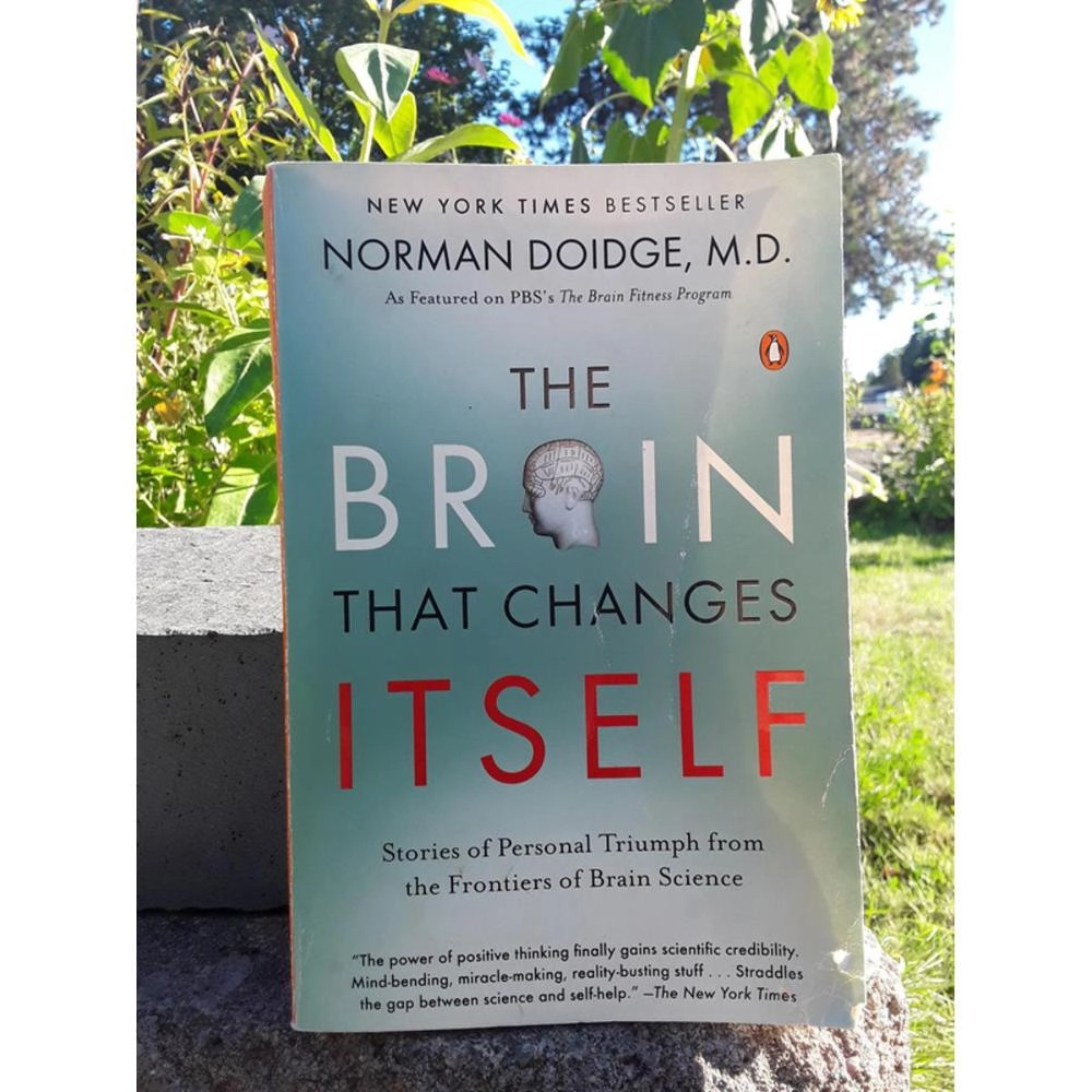 The Brain that Changes Itself