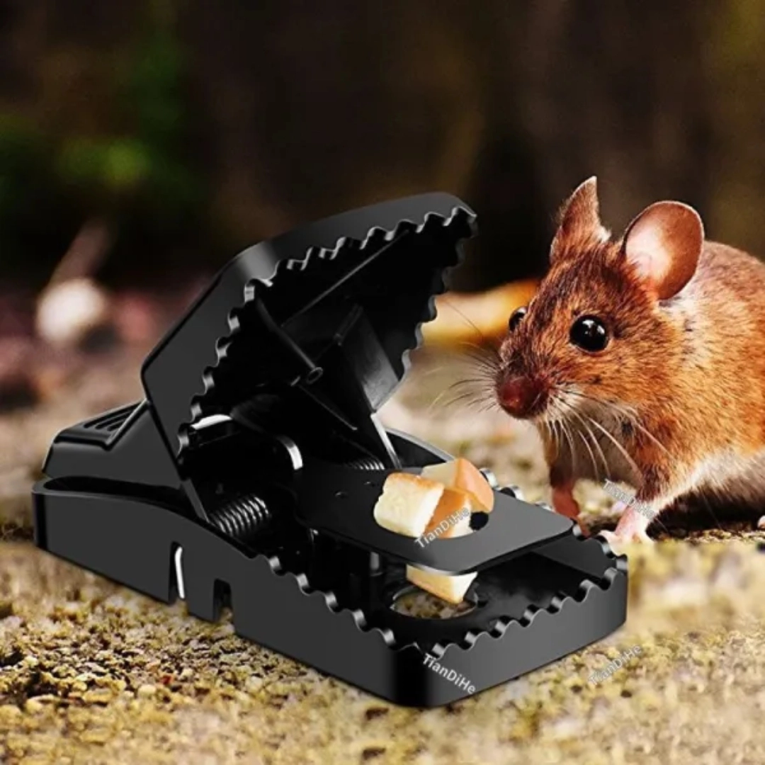 Mouse Killer Trap/Rat Trap/Rat Catcher For House And Office