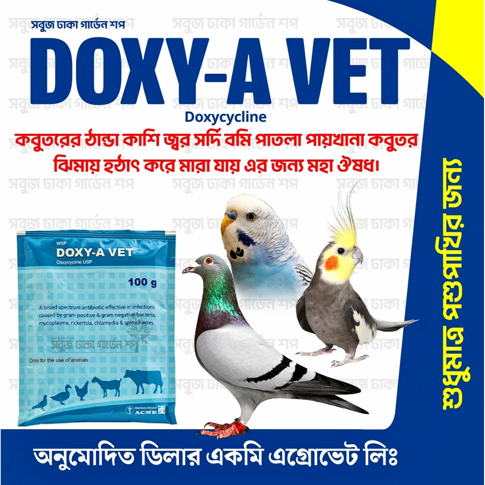 Doxy-A Vet Powder 10Gm Pack (Pakhir Thanda Jor Er Jonno)