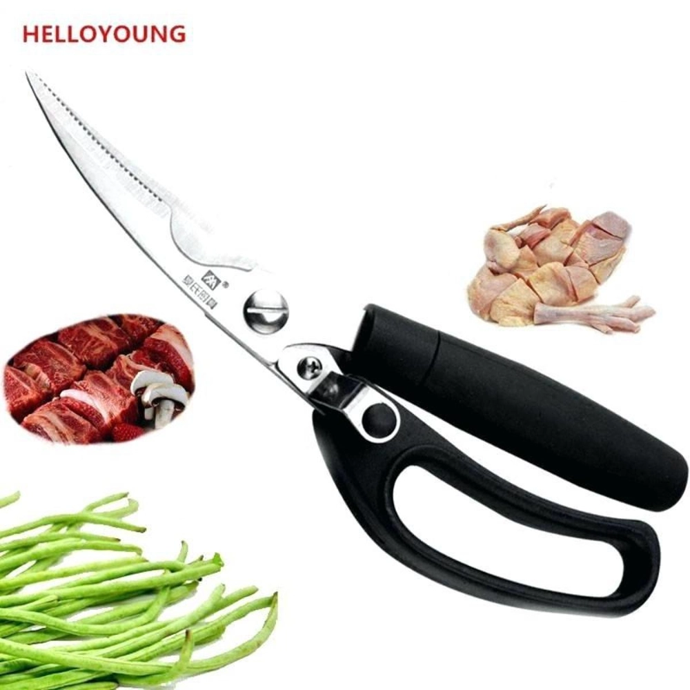 Stainless Steel Fish and Grill Cutter Scissor - Multicolor