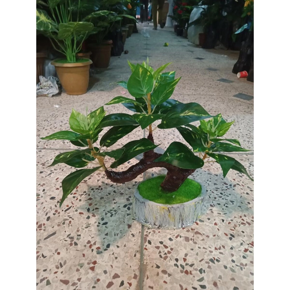 Bonsai Plant With Matir Tob-6