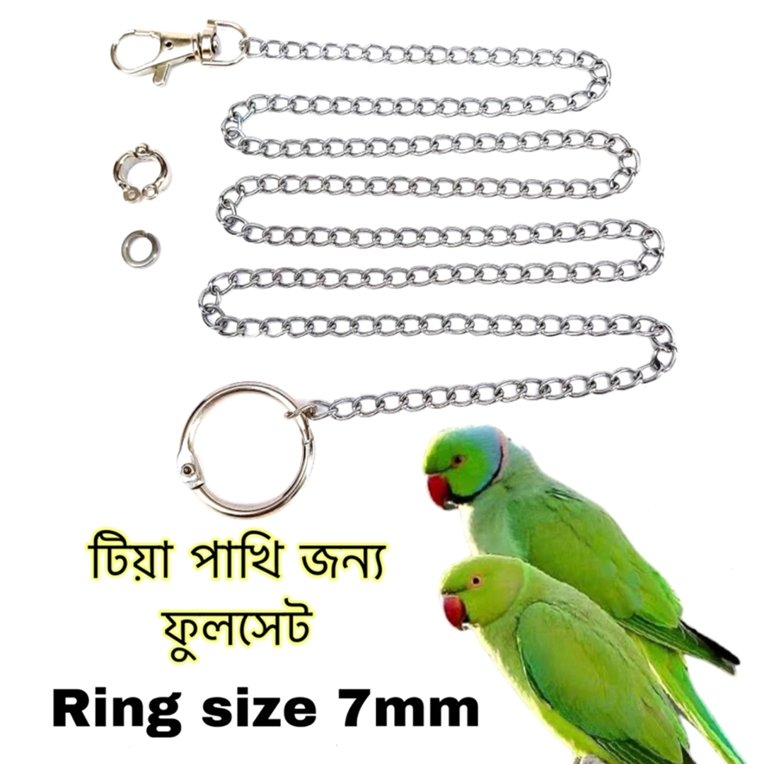 Metal Foot Chian Harness Leash & Anklet Ring fullset combo pack for ...