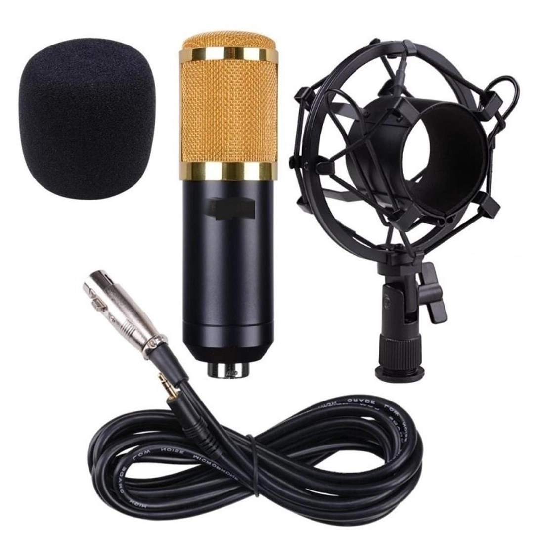 Professional Microphone Series Studio Microphone Legendary Vocal ...