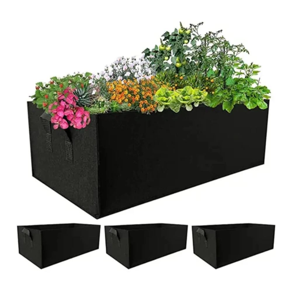 Special Combo Odder 10 Pcs 's Vegetable Premium Quality GEO Bed ( Long ...