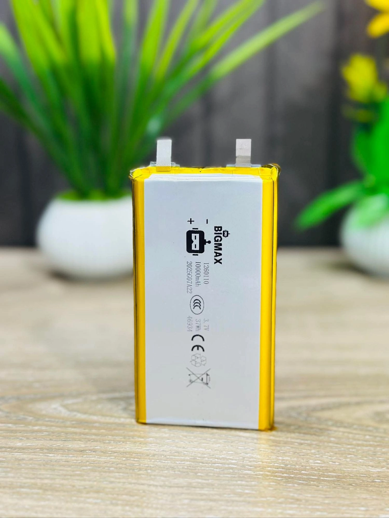 Bigmax1260110 Lithium Polymer Battery 10000mAh 3.7V Battery Power Bank ...