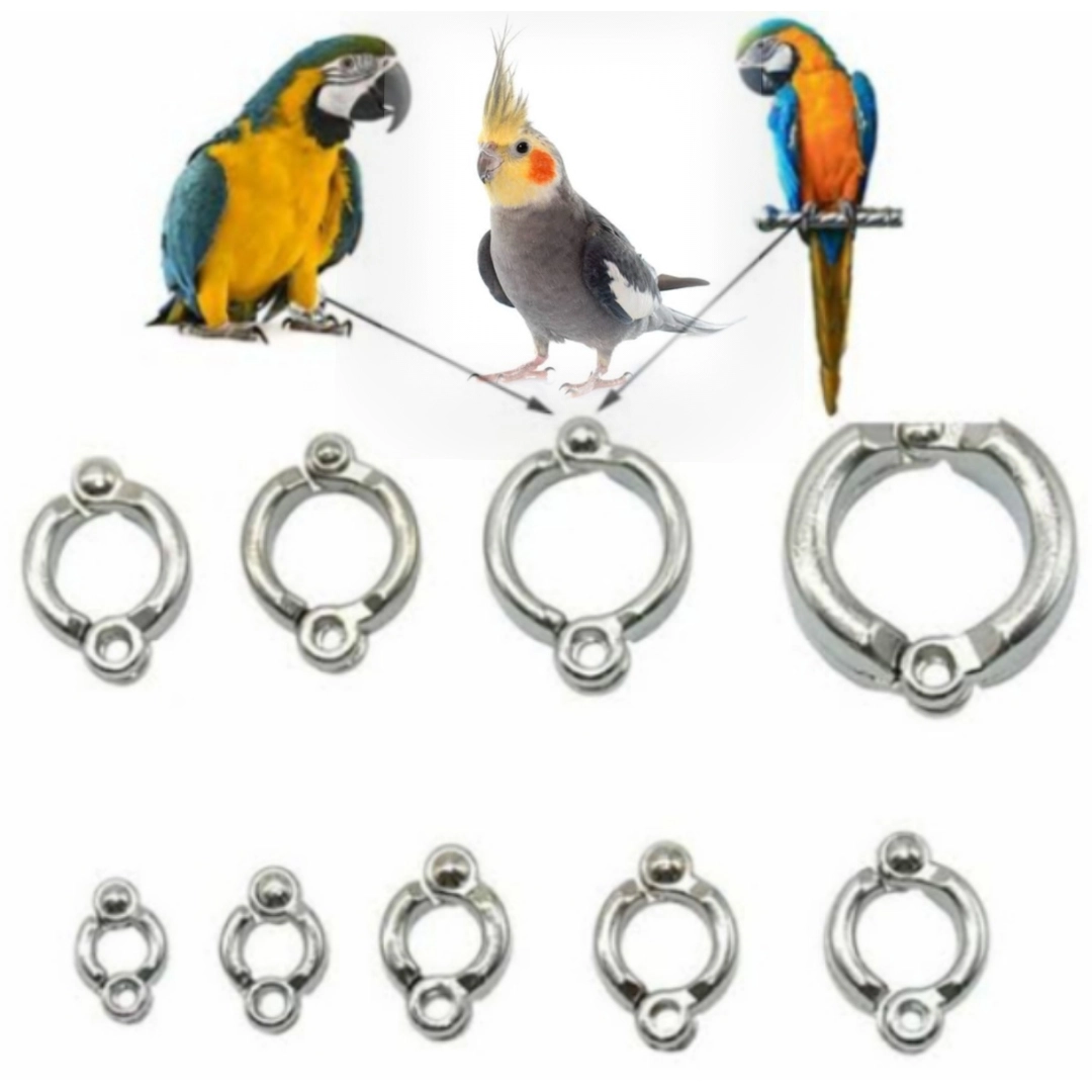 Birds leg Harness Ring Original China Cocatail, Conure Ringneck Tiya ...