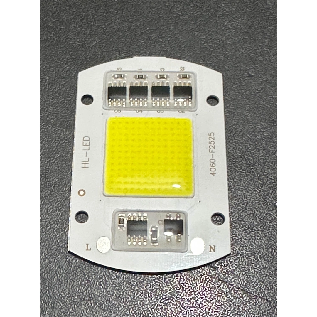 AC 220v Led Light Chip 50w COB White Color High Bright