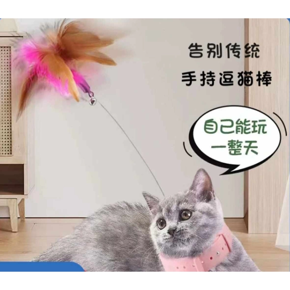 Silicone Collar Toy to Tease Cats, Pet Collars with Bells and Feather ...