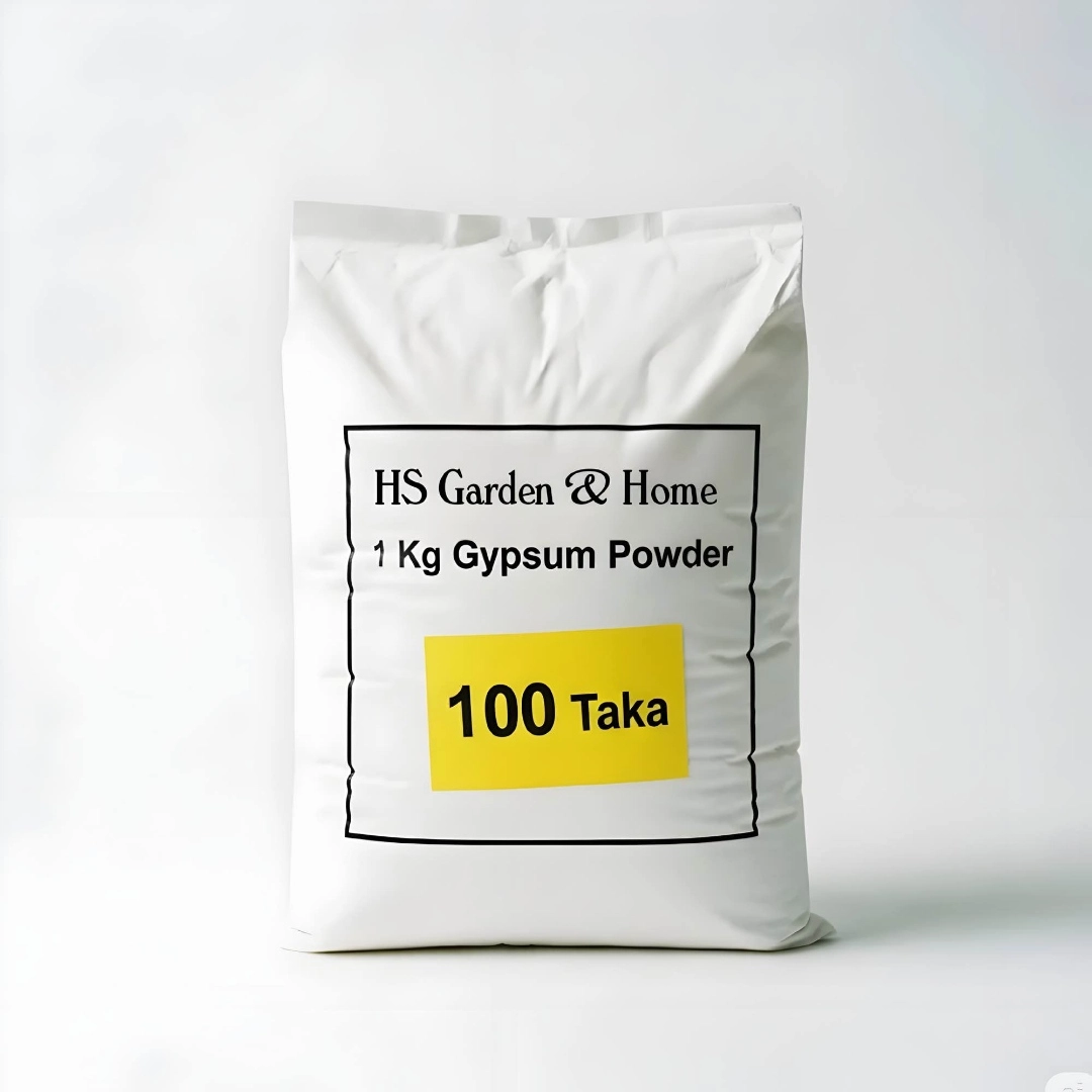 Gypsum Powder / Plaster Of Paris For Art And Sculpture, Creative ...