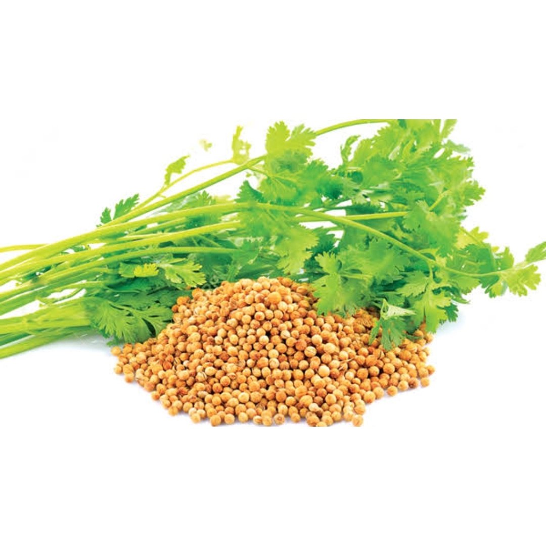 Dhonia (ধনিয়া পাতা) / হোল সেল রেটে / 10gm Hybrid Seed Intact packet